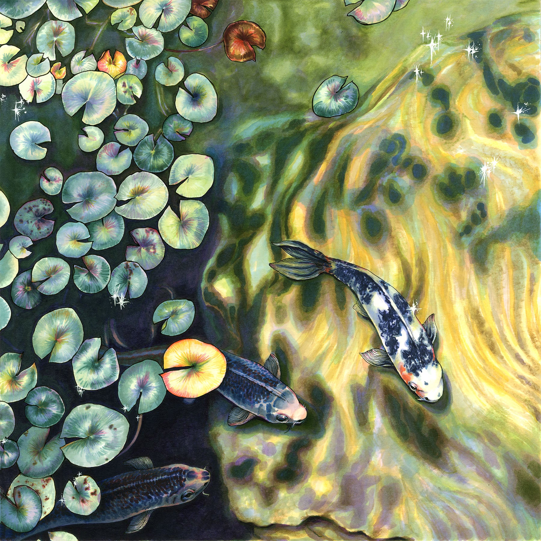 draw koi fish pond